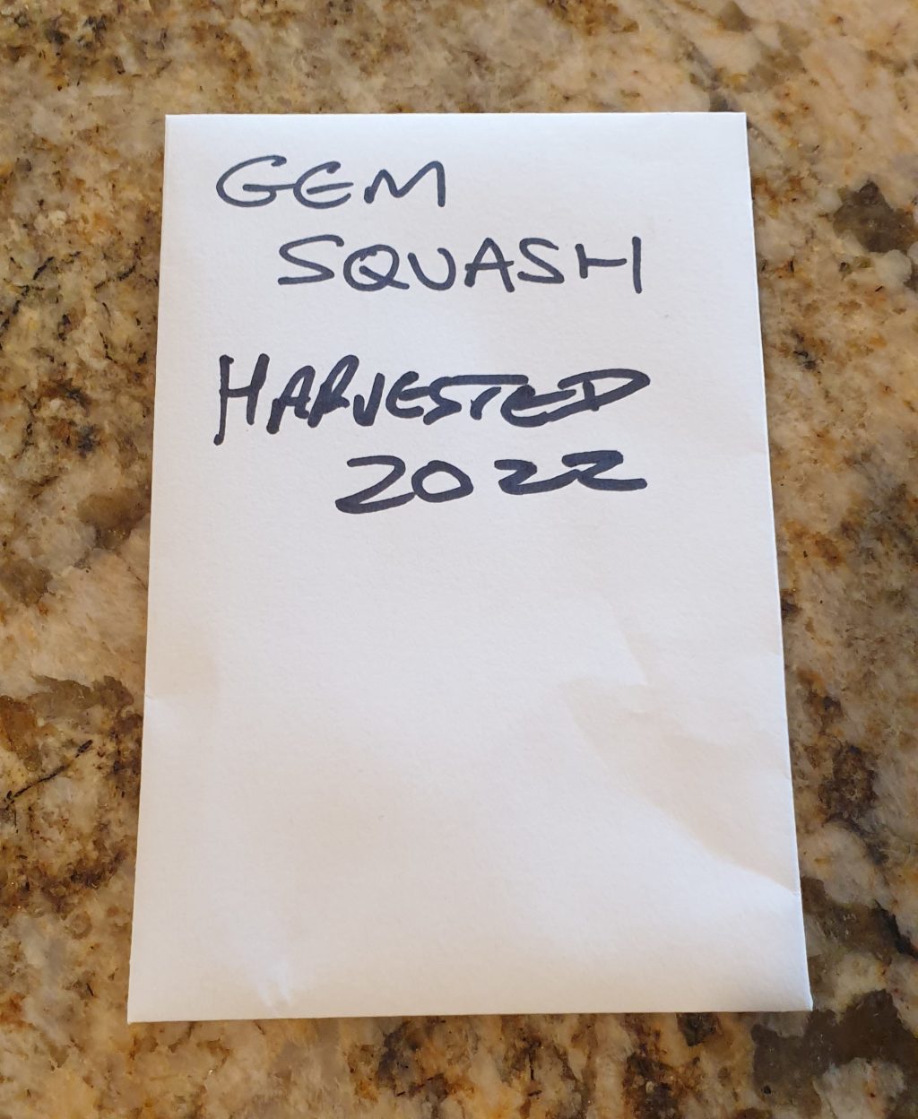 Gem Squash Seeds